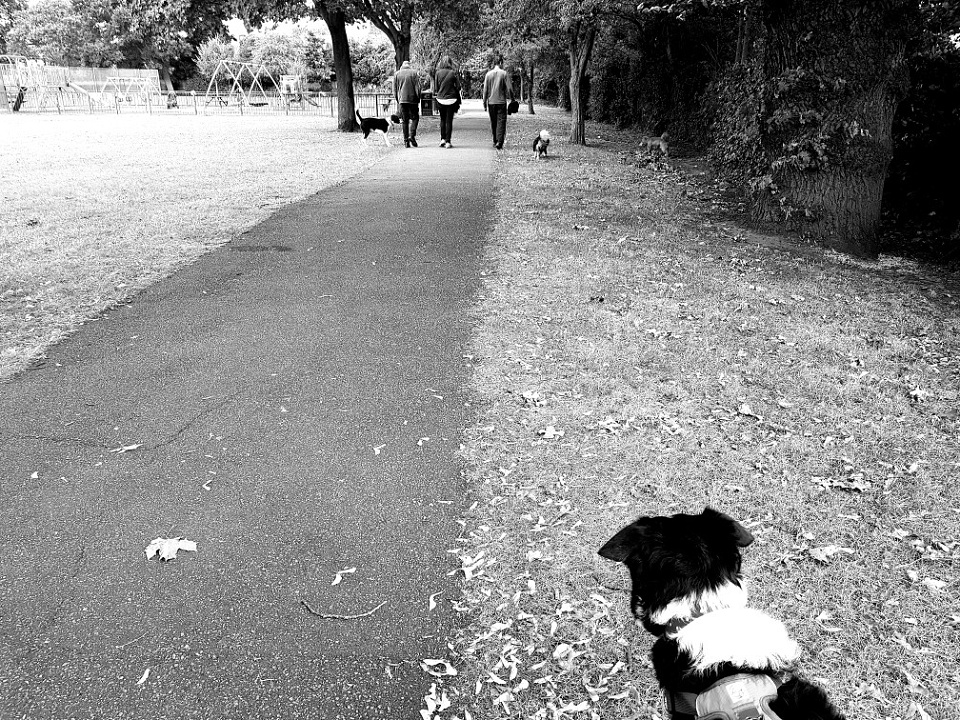 all behind | spishy | Blipfoto