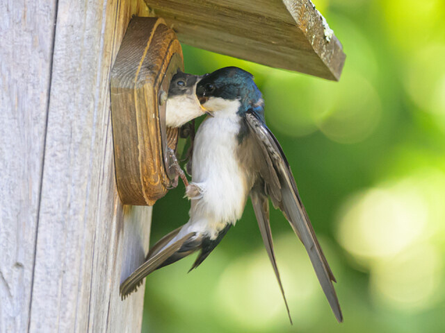 Hunger Games | dbifulco | Blipfoto