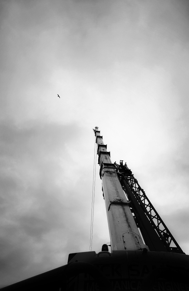Open sky, albeit dull and... | rmeinz | Blipfoto