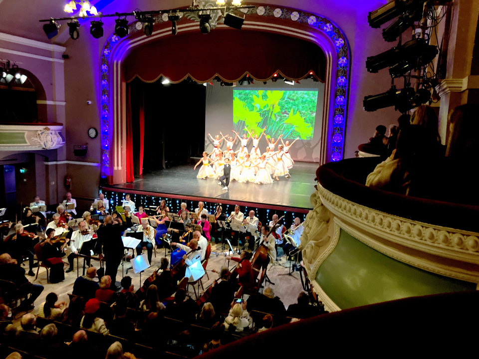 Gala | mambo | Blipfoto