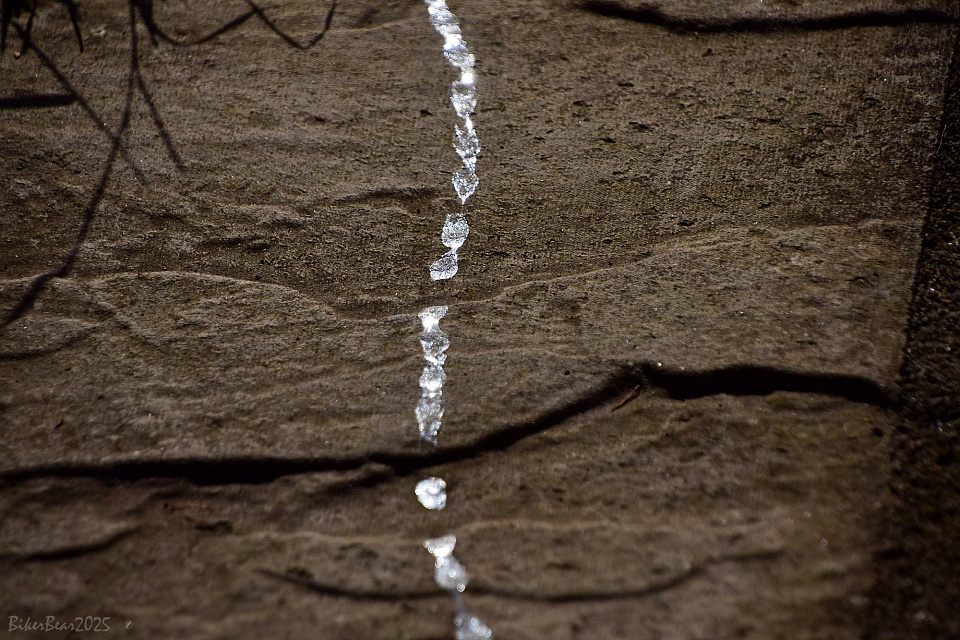 Tiny ............... | BikerBear | Blipfoto