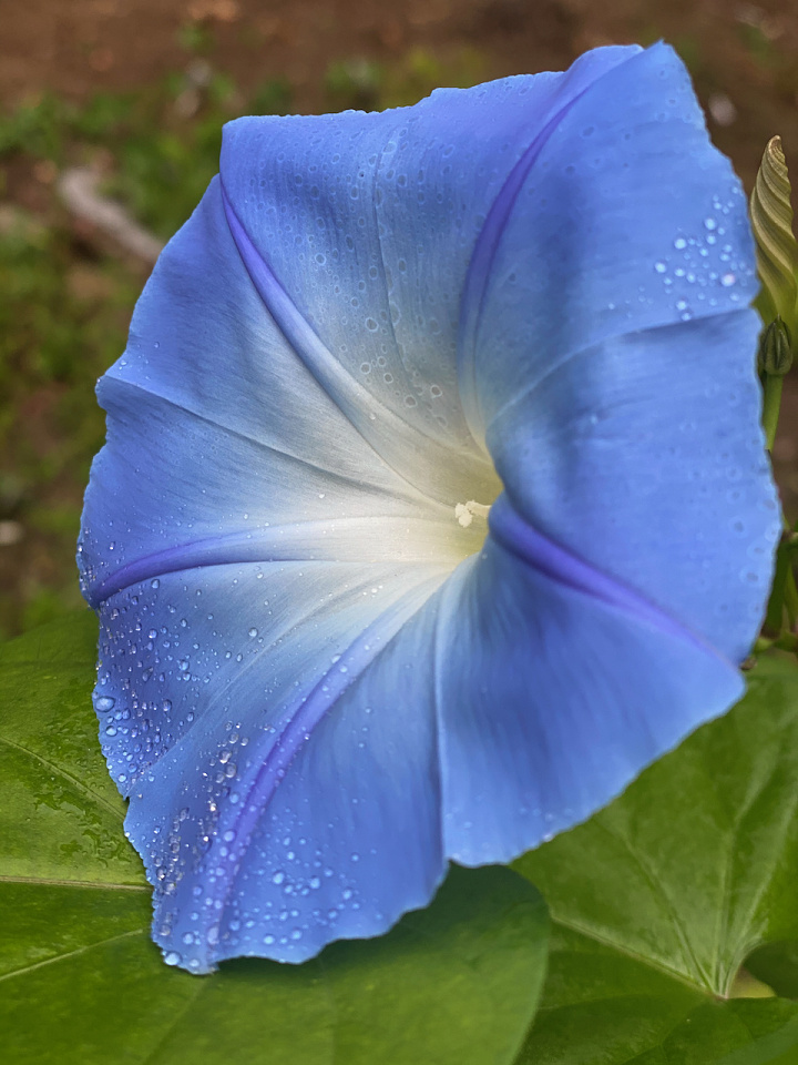 Finally | Doingok | Blipfoto