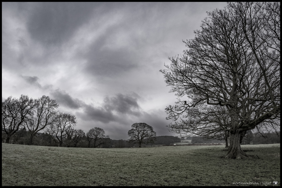 Going nowhere ... | RobinDown | Blipfoto