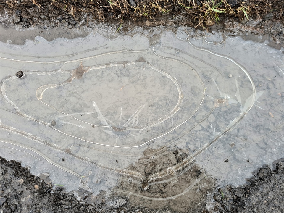 Iced Puddle | EllyJay | Blipfoto