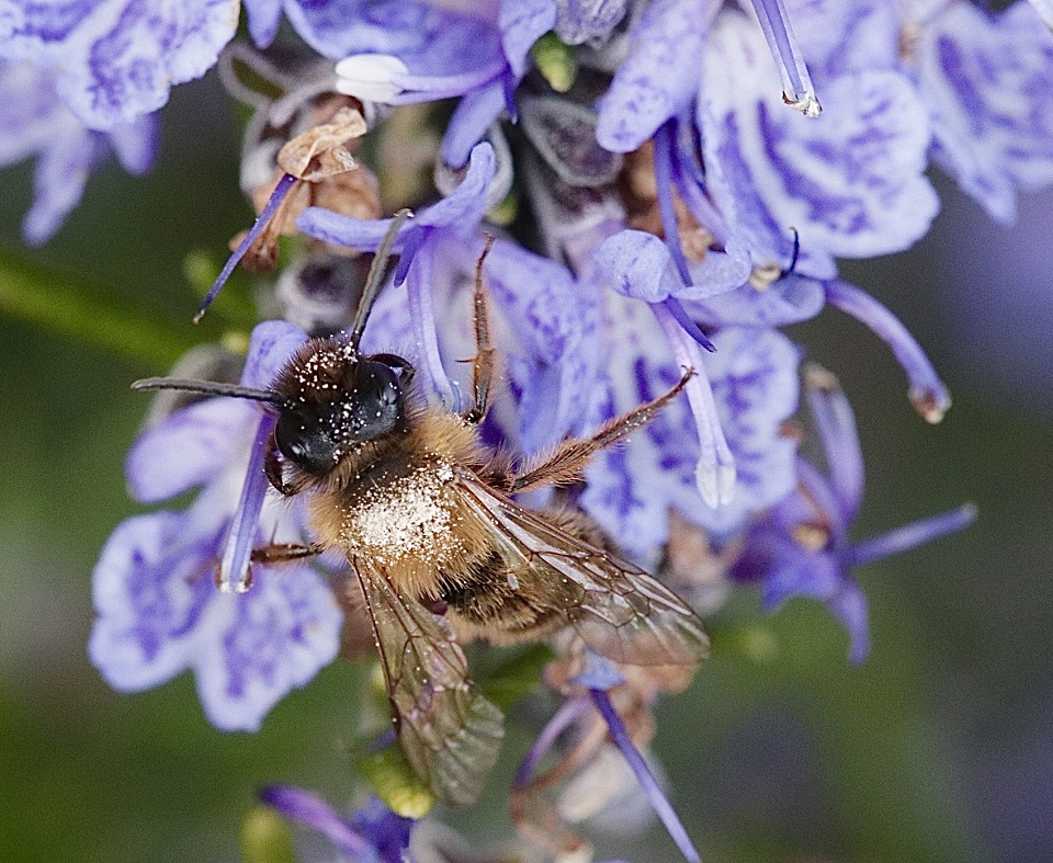 Spring time | Viking | Blipfoto