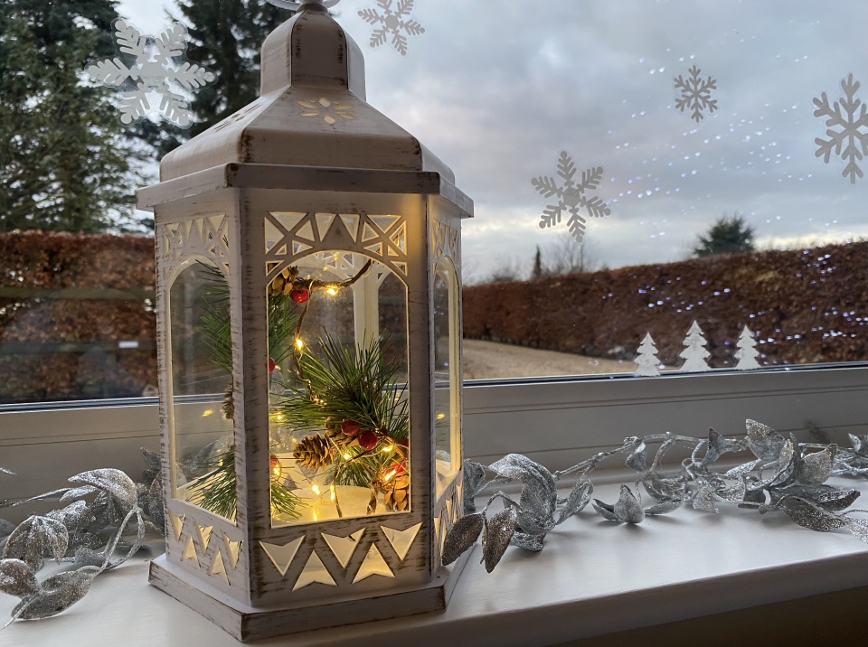 Looking festive | Alison666 | Blipfoto