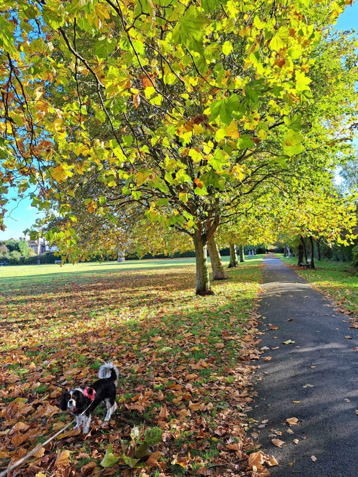 Sunday morning | Emsie | Blipfoto