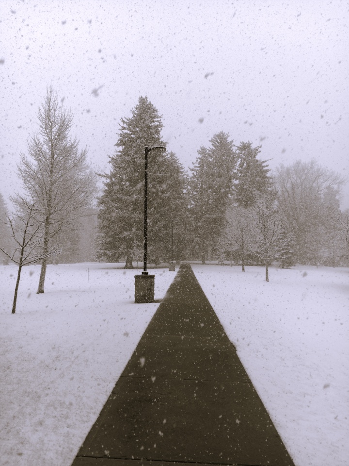 Right on cue | TiciaS | Blipfoto