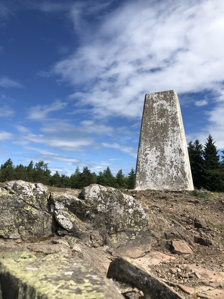 More Moncrieffe Hill | TrishaR | Blipfoto