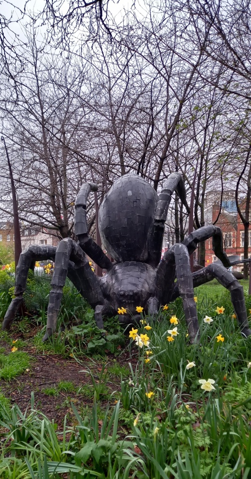 Fen raft spider | StephenF | Blipfoto