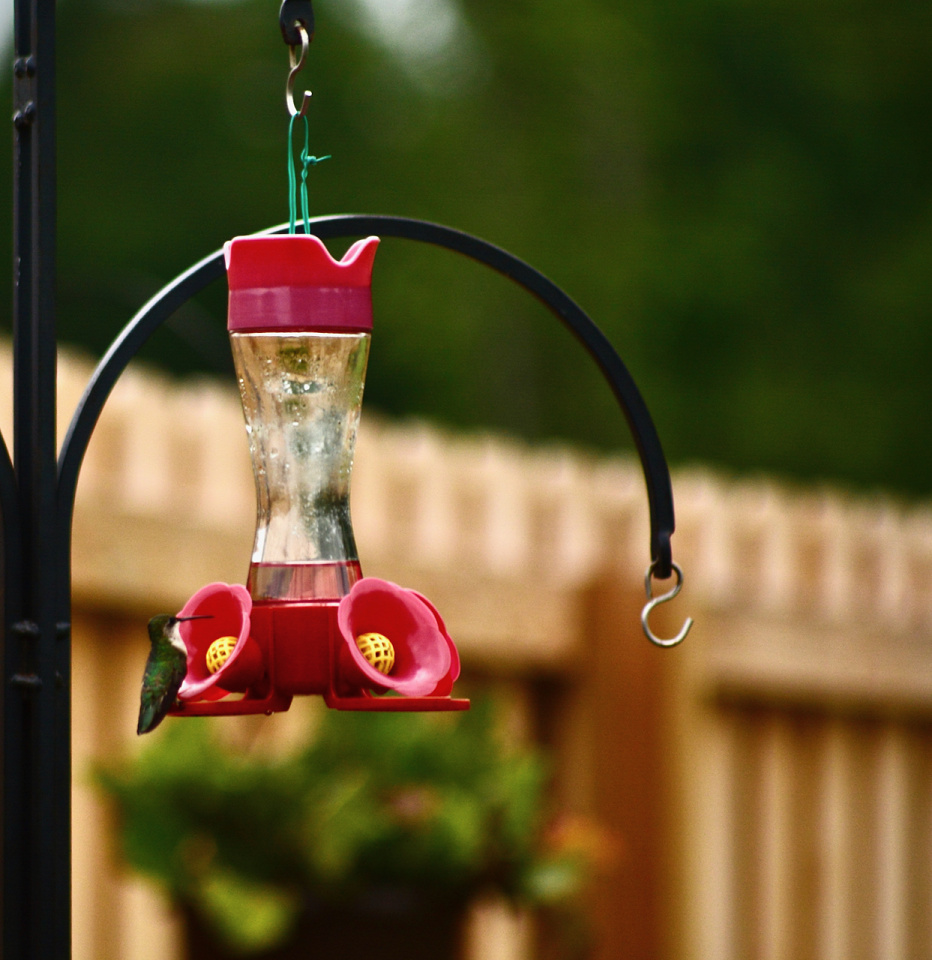 Supper Time | Doingok | Blipfoto