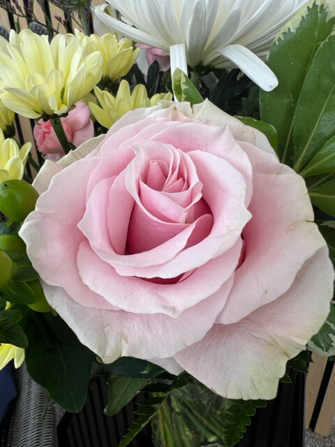 Aye | Romay | Blipfoto