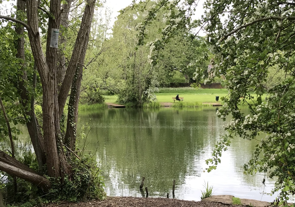 Spring Grove | JustSally | Blipfoto