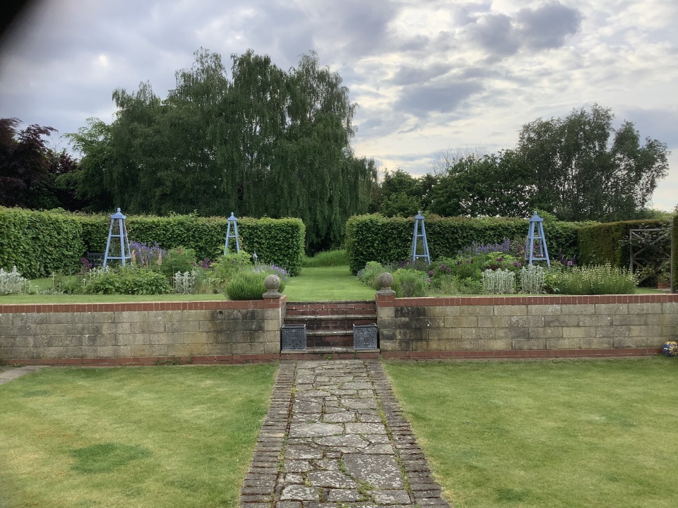 Box Hedge gone! | 58jc | Blipfoto