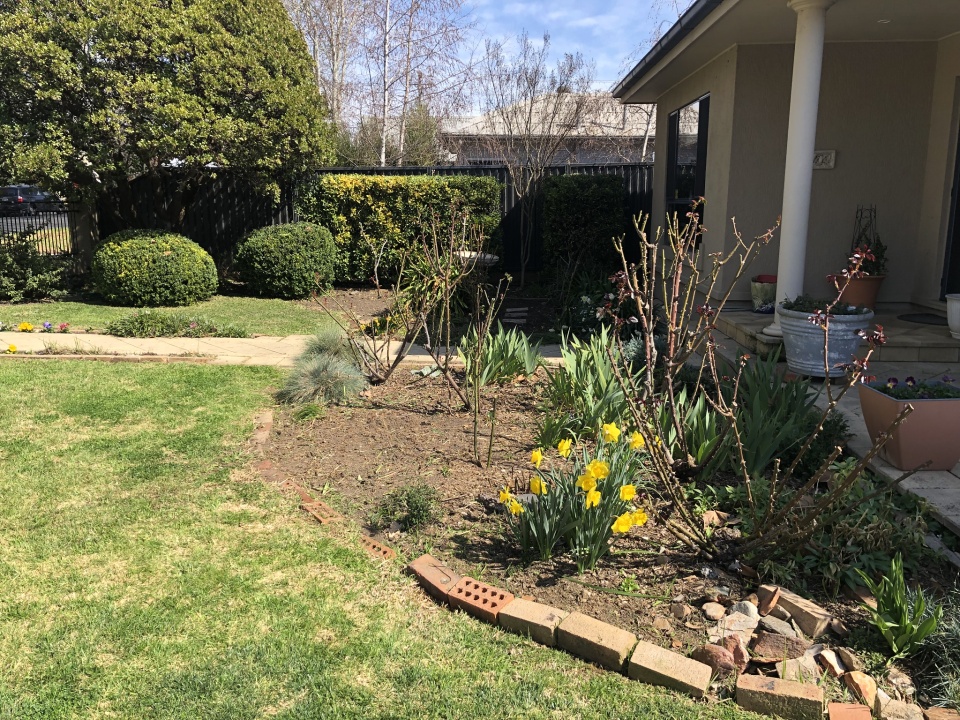 Garden | 59 | Blipfoto