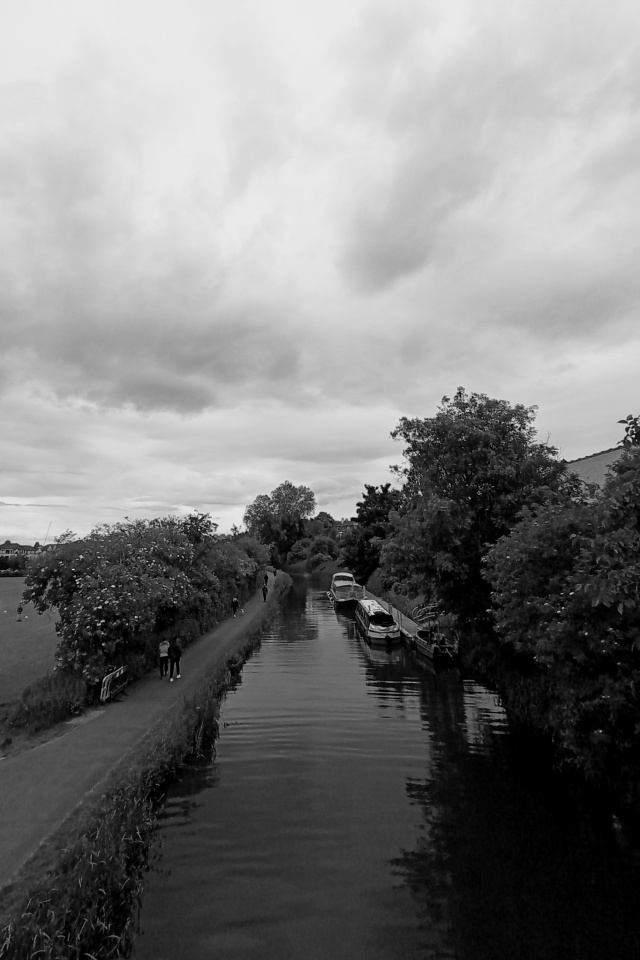 Jungle | middleman | Blipfoto