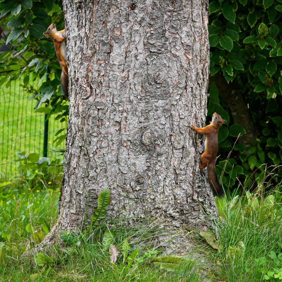 Sunday, August 13, 2023 | Kirre | Blipfoto