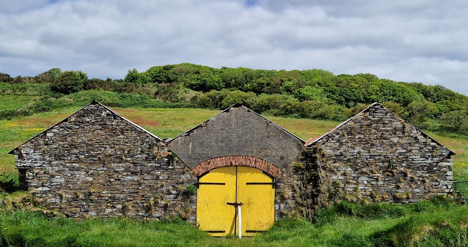 Smart... | AngelsShare | Blipfoto