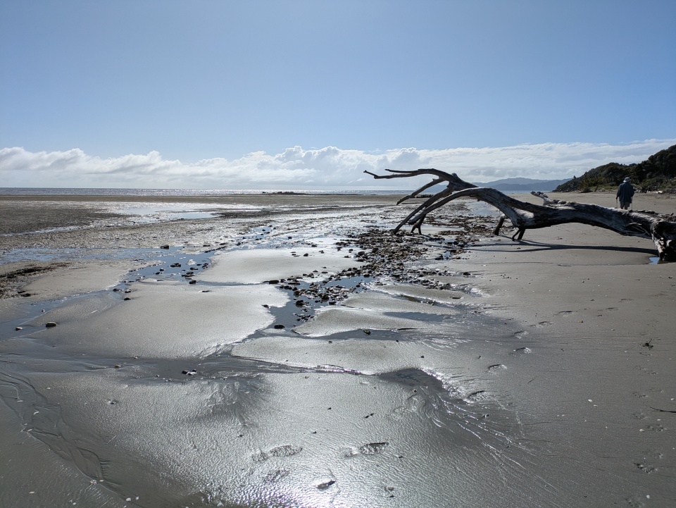 Rangihaeata | freespiral | Blipfoto