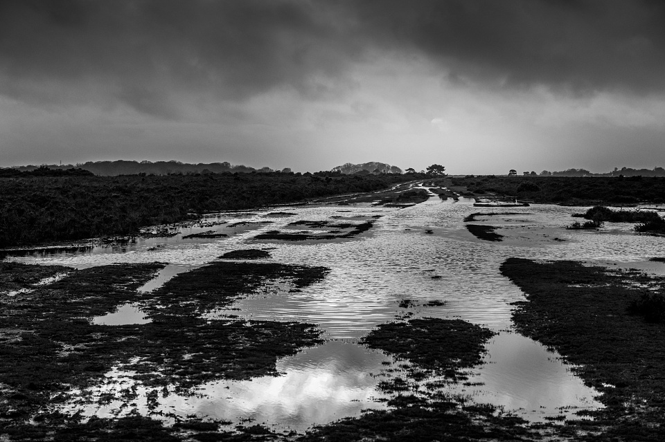 Sodden Landscape | AH14inbw | Blipfoto