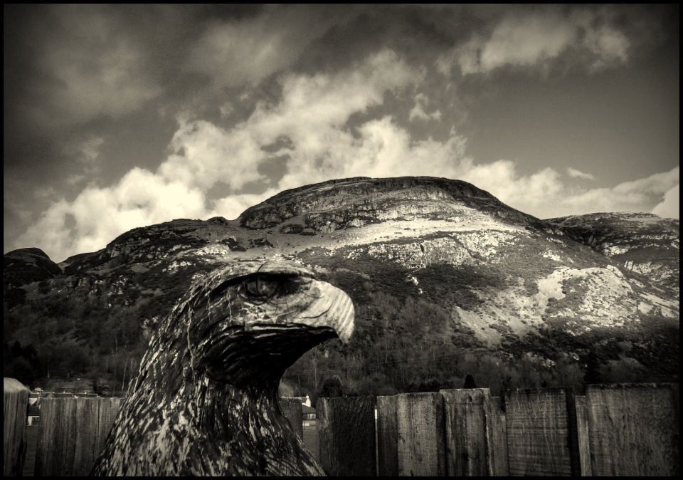 A glorious day. top to bottom, side to side. | ForthPorts | Blipfoto