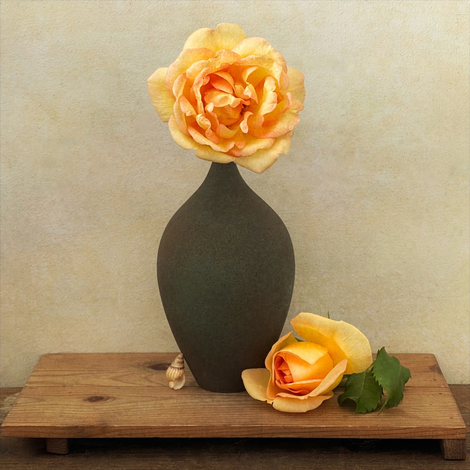 Sunday roses | sk | Blipfoto