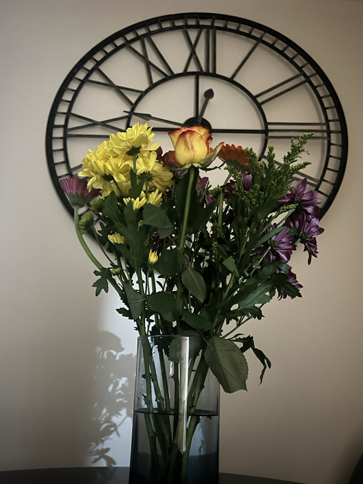 Somber | Romay | Blipfoto