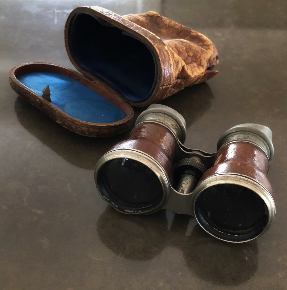 Field Glasses | Pianolady | Blipfoto