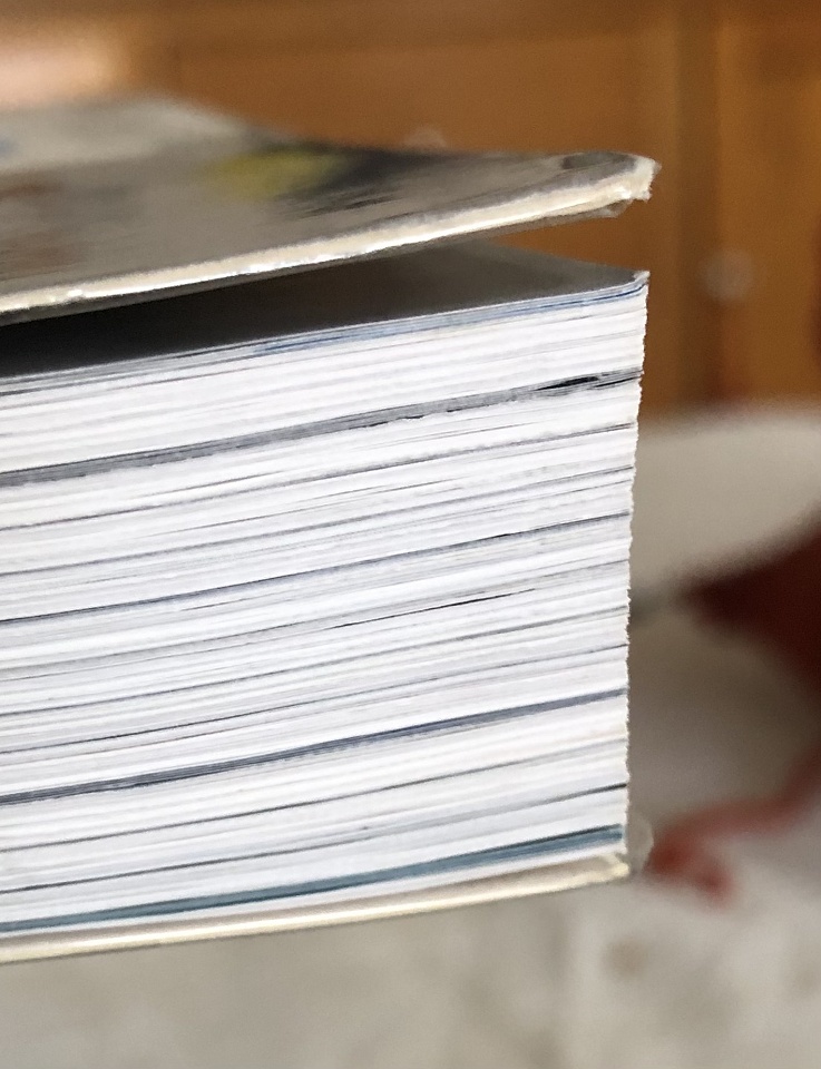 Tiny Tuesday Leaves | 59 | Blipfoto