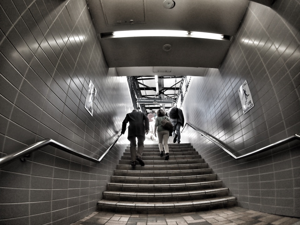 Looking Up | isbi | Blipfoto
