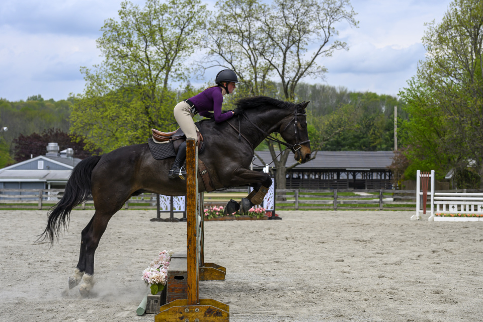 Flying... | dbifulco | Blipfoto