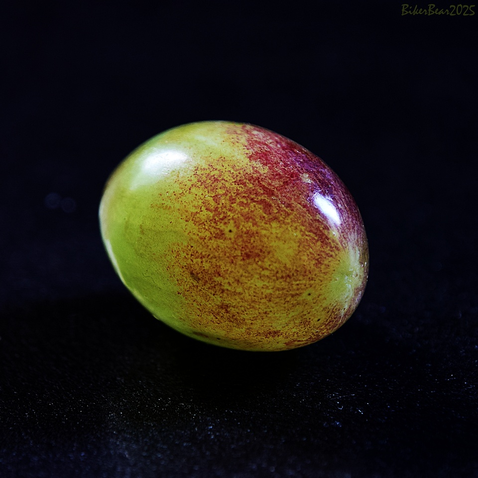 Tiny .............. | BikerBear | Blipfoto