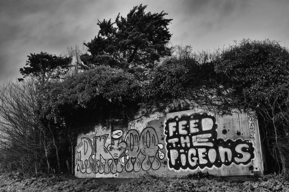 Leigh Cliffs, Leigh-on-Sea, Essex | marknlizzie | Blipfoto