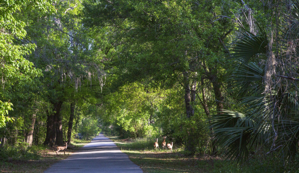 They Showed Up Again | bugsman | Blipfoto