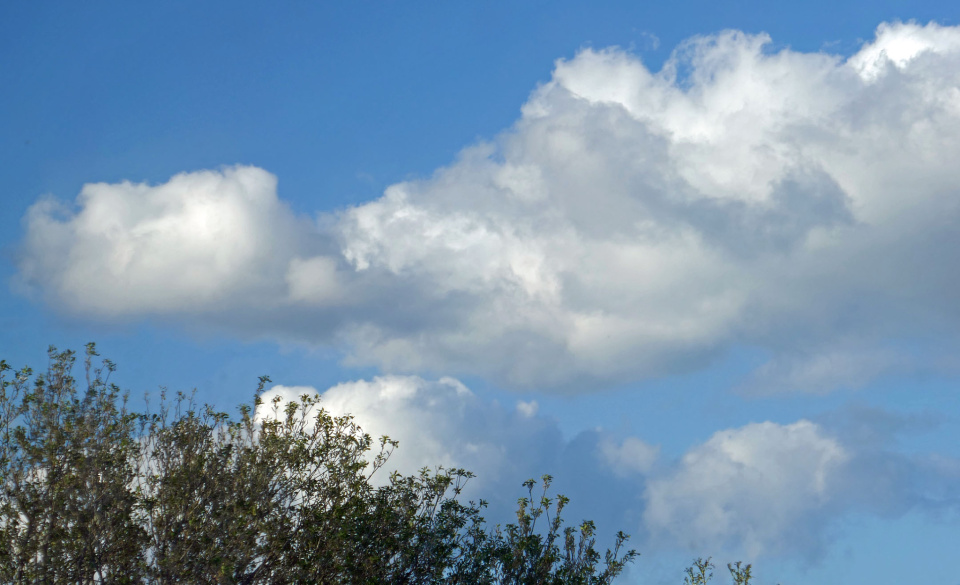 It's stopped raining! | PicturePoems | Blipfoto