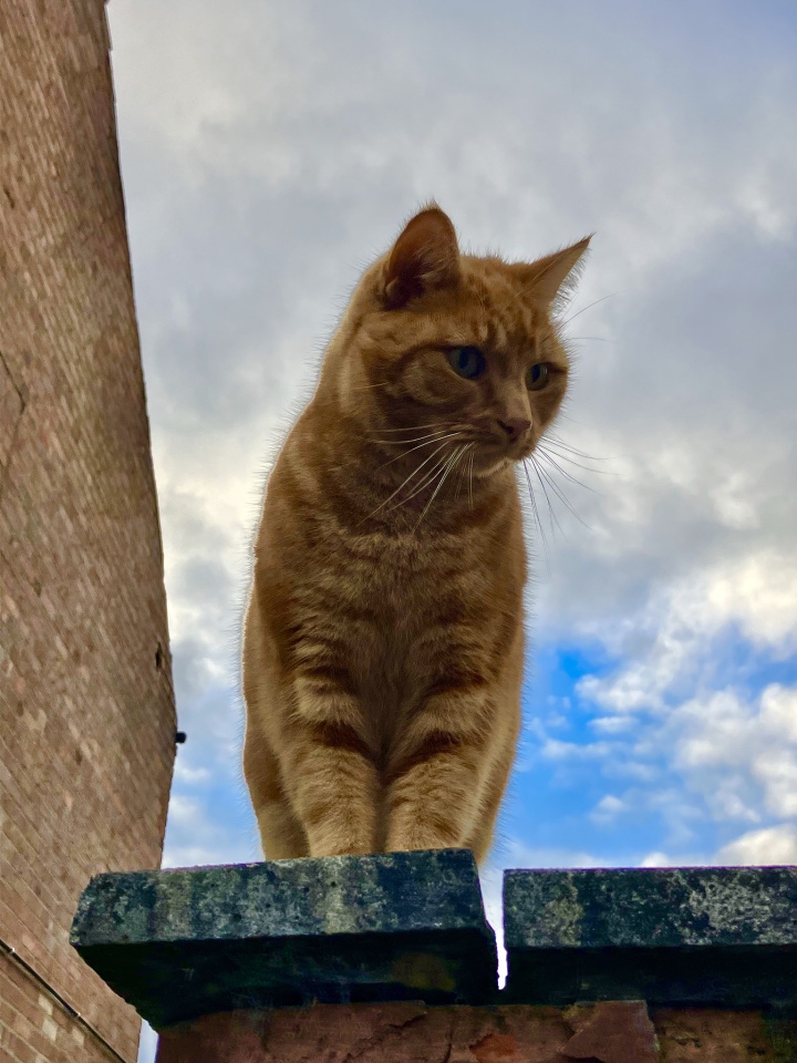 Where is it | Jaybay | Blipfoto