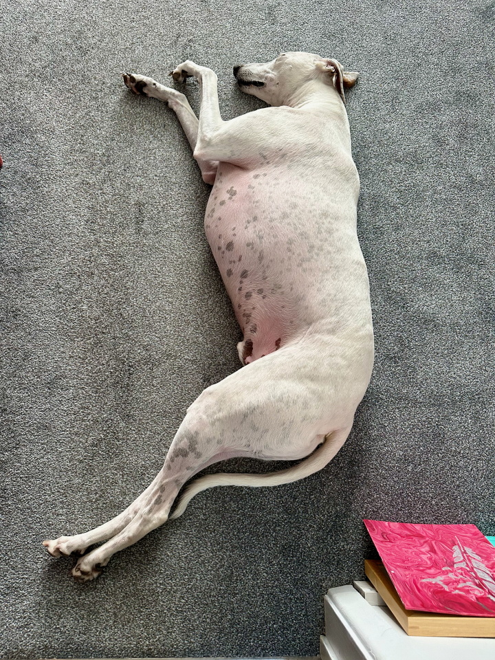 Chillin' | Amanda_T | Blipfoto