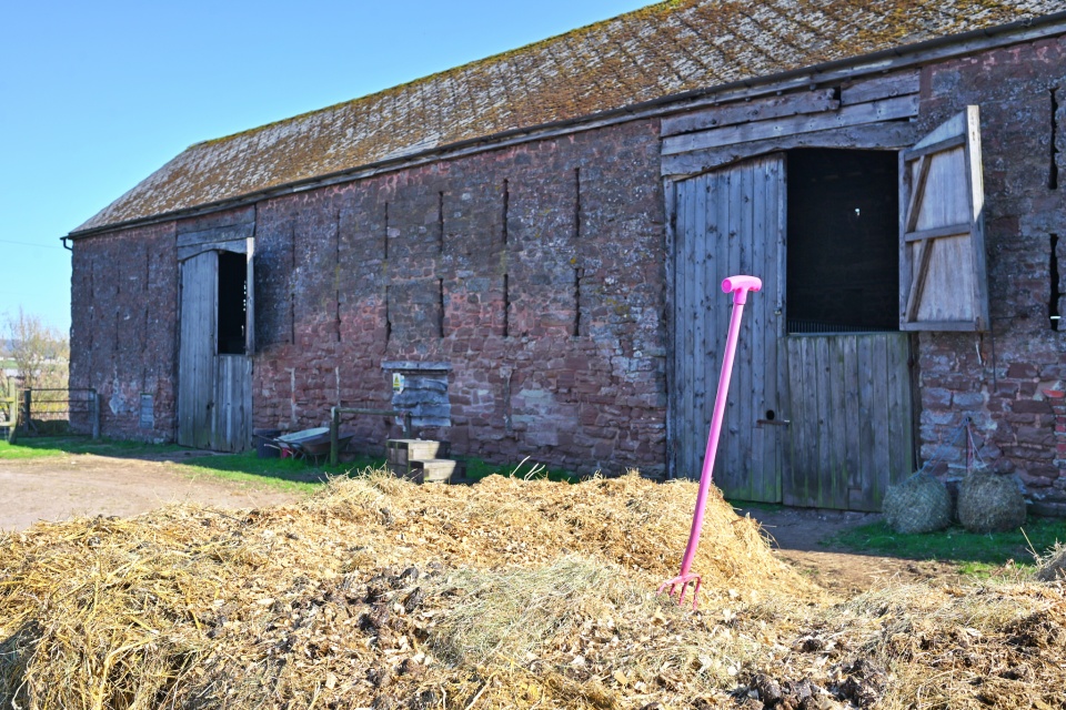 Pink Fork | BobsBlips | Blipfoto