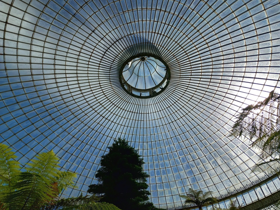 Looking Up | Freuchie | Blipfoto