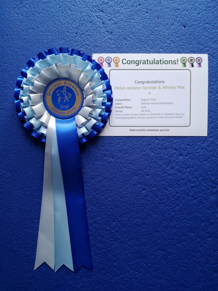 Rosette day | HelenJG | Blipfoto