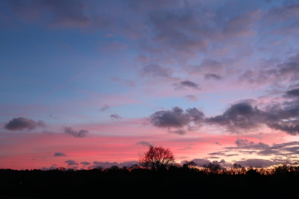 blowing a gale | spishy | Blipfoto