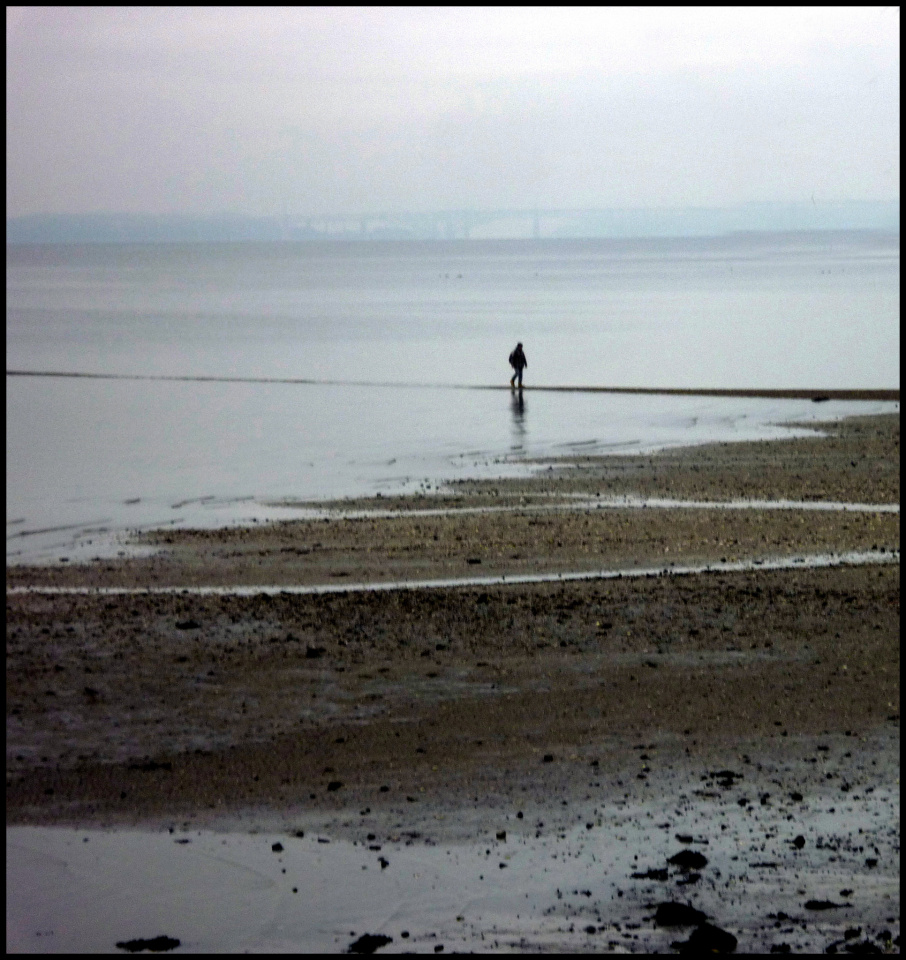 Chance encounter. | ForthPorts | Blipfoto