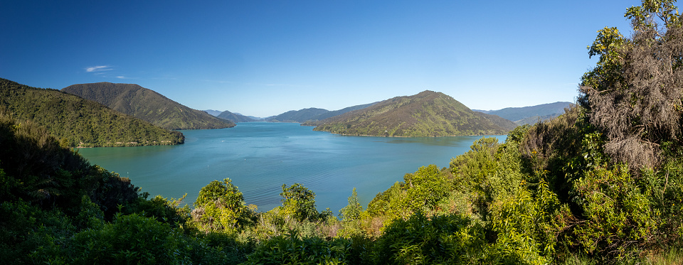 Cullen Point (overlooking Queen Charlotte Sound) | steveng | Blipfoto