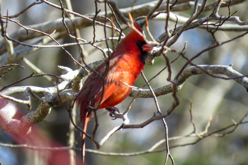 Double digit day | KathyH58 | Blipfoto