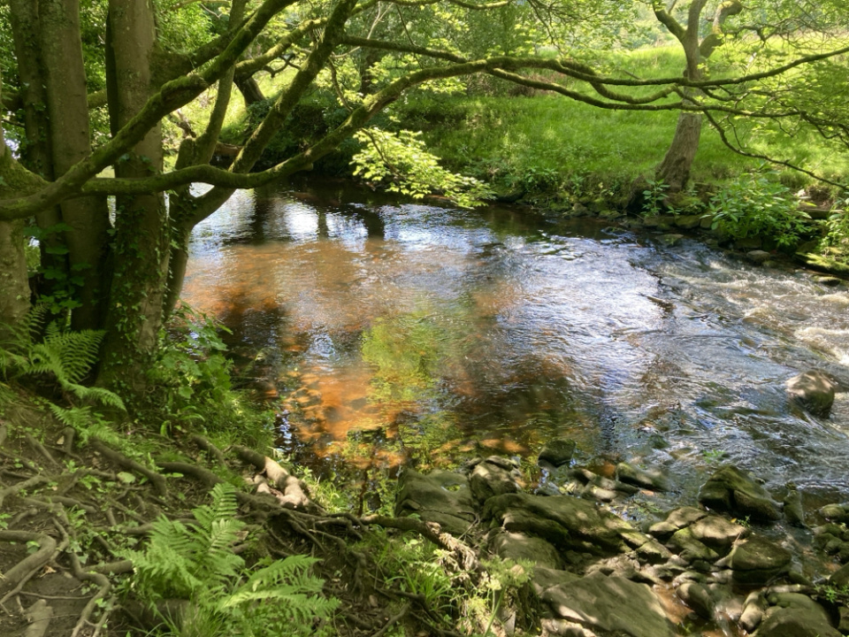 River Etherow | VitalSparks | Blipfoto