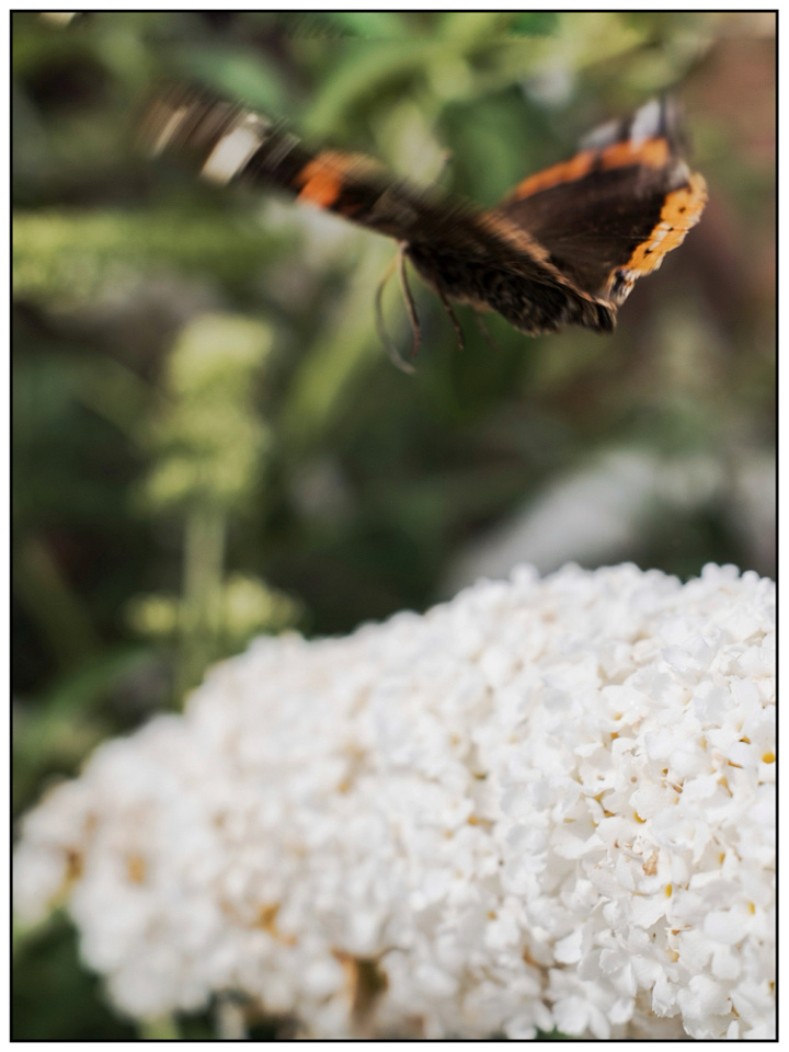 Not so easy this year | Ilja | Blipfoto