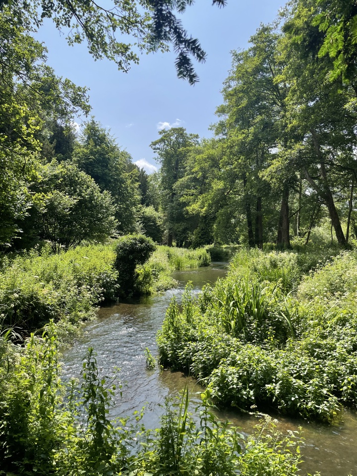 One from yesterday | 58jc | Blipfoto