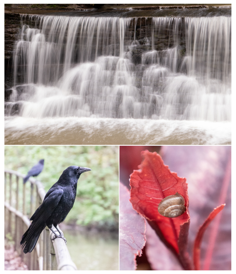 Flow Crow Slow | Kernow | Blipfoto