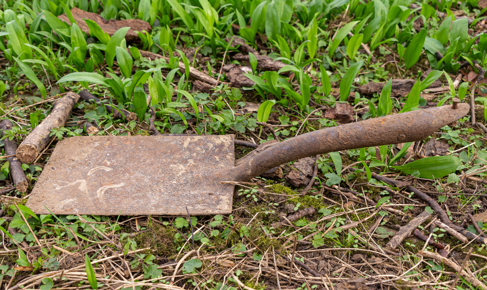 Random Spade Head | madwill | Blipfoto