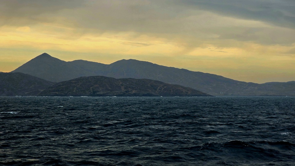 Alcatraz | snapper | Blipfoto